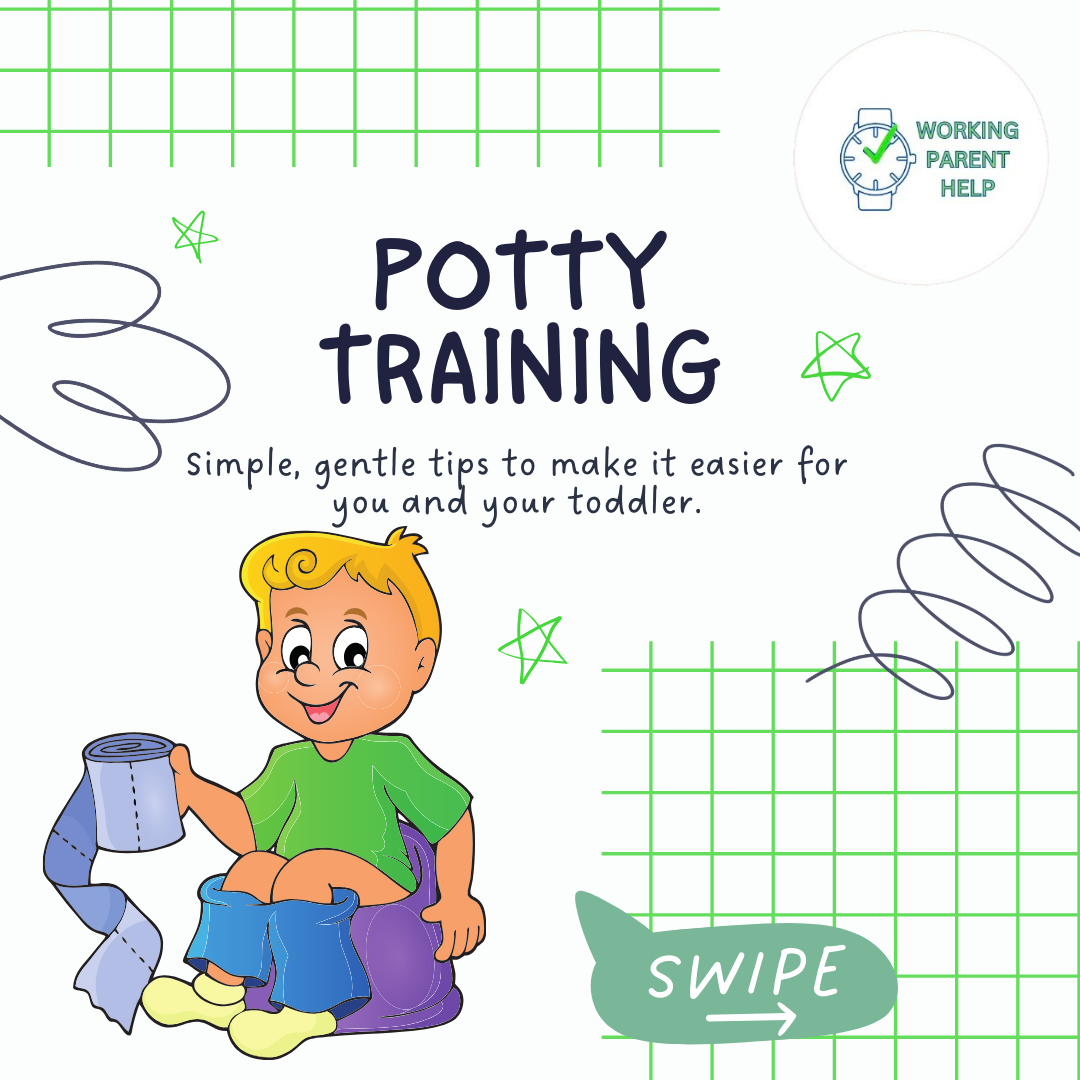 Potty Training Like a Pro: A Funny, Honest Guide for Parents in the Sp ...